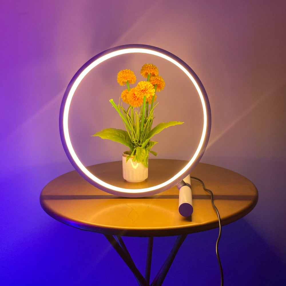 Halo Color-Changing RGB Table Lamp — Dimmable LED